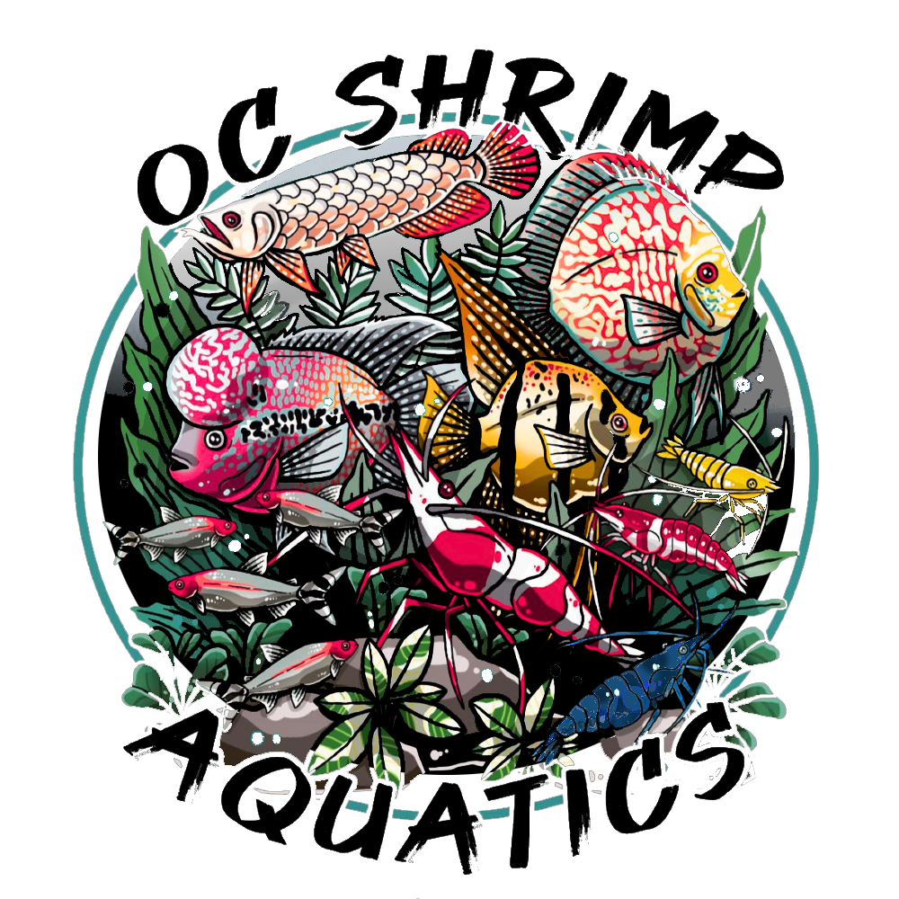 The Ultimate Guide to Acclimating Livestock from OC Shrimp Aquatic ...