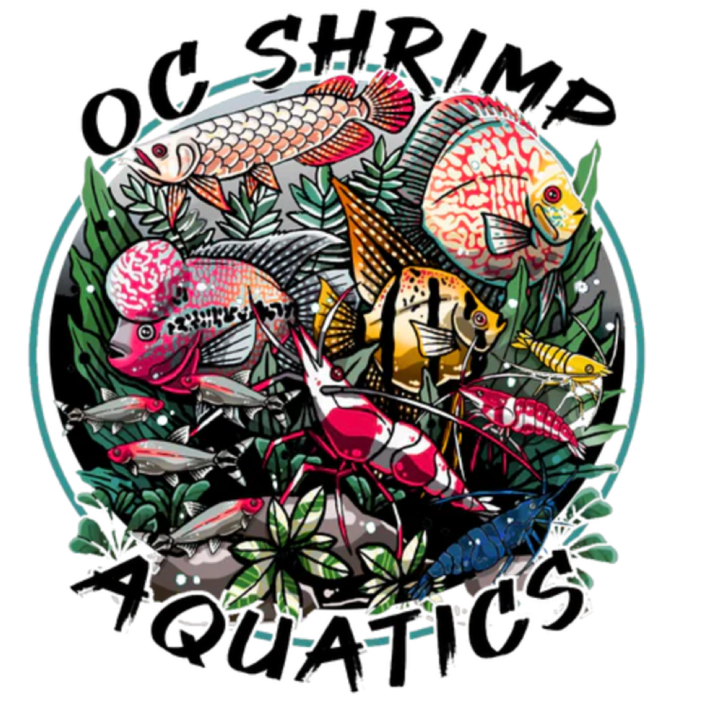 THREE LINE CORY – OC SHRIMP AQUATIC LLC